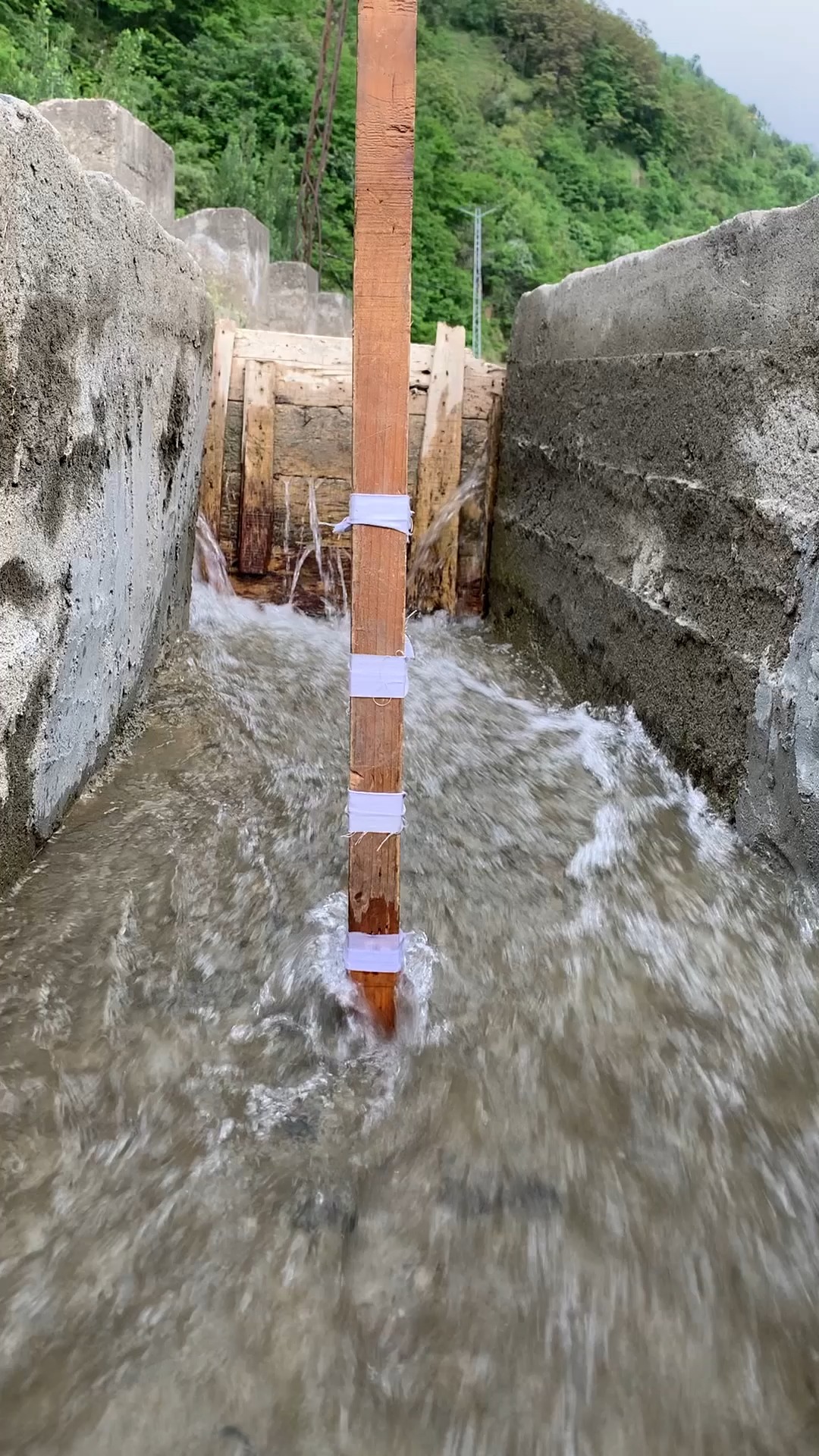 Demo Project Object Detection Dataset And Pre Trained Model By Final Year Project