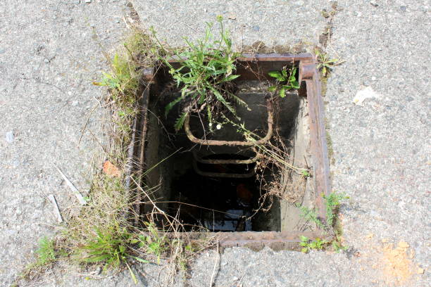 Manhole Dataset Roboflow Universe