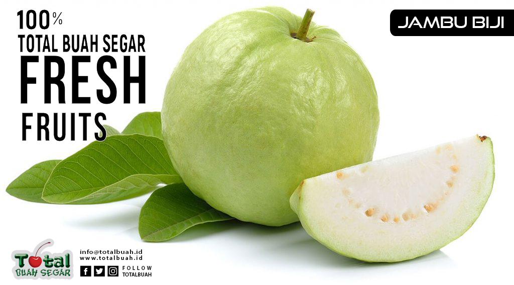 Jambu SGCSS Instance Segmentation Model by Andika