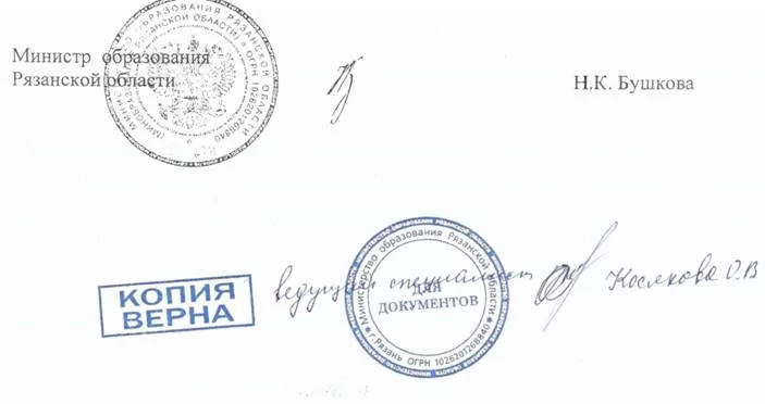 final stamp Object Detection Dataset and Pre-Trained Model by stamp