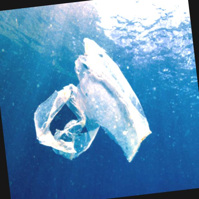 Plastic Detection In Ocean Object Detection Dataset And Pre Trained