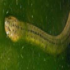 data fish Object Detection Model by data fish