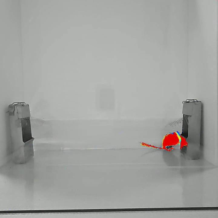 ce_musMus Object Detection Dataset by MOUSE