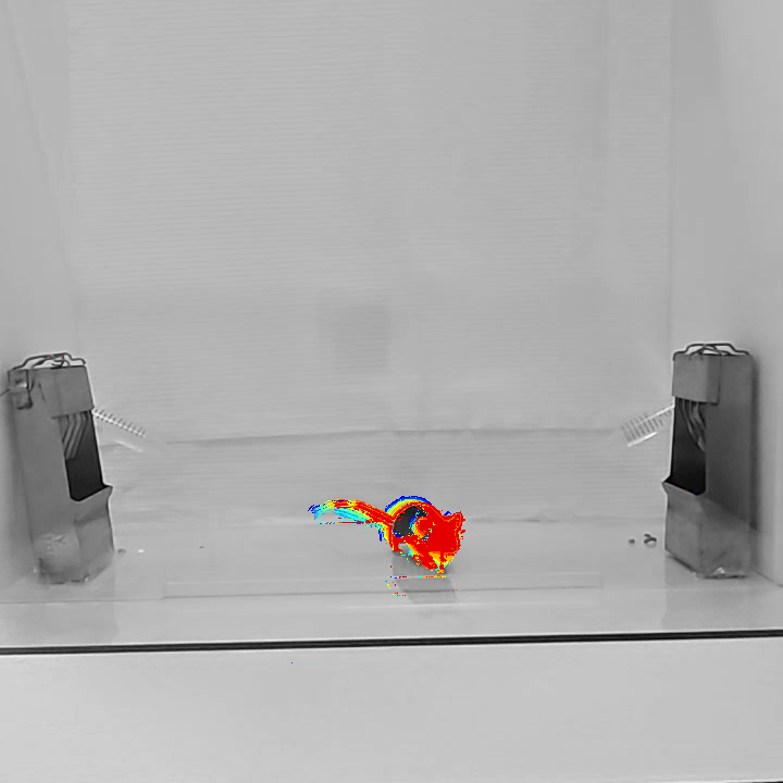 ce_mus_jet Object Detection Dataset and Pre-Trained Model by MOUSE