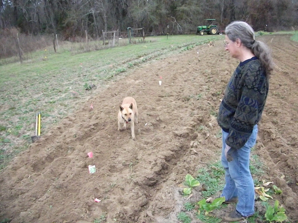 Stray Dogs Detection Object Detection Dataset (v7, 2024-05-19 10:12pm ... Stray Dogs Detection Object Detection Dataset (v7, 2024-05-19 10:12pm ...