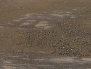 Road Annotation Project - Roboflow Universe