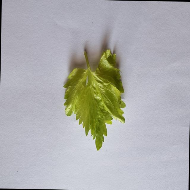 Celery Object Detection Dataset by Smart