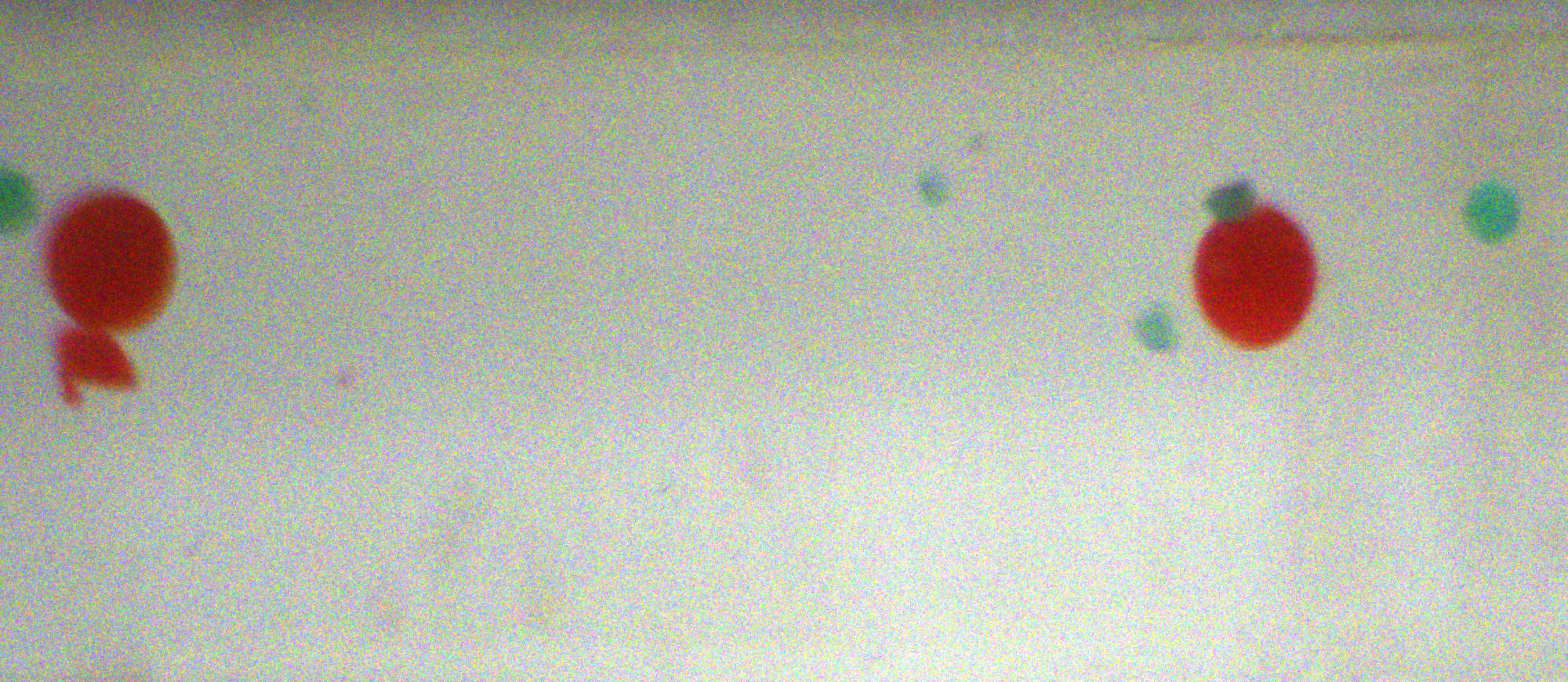 All Plastic Object Detection Model By University