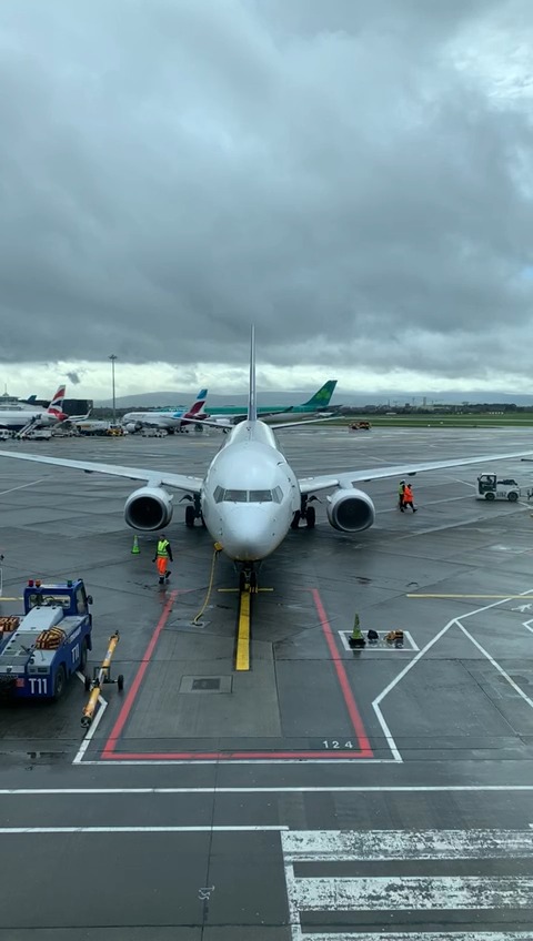 Test Merge Object Detection Dataset By Msc Ai