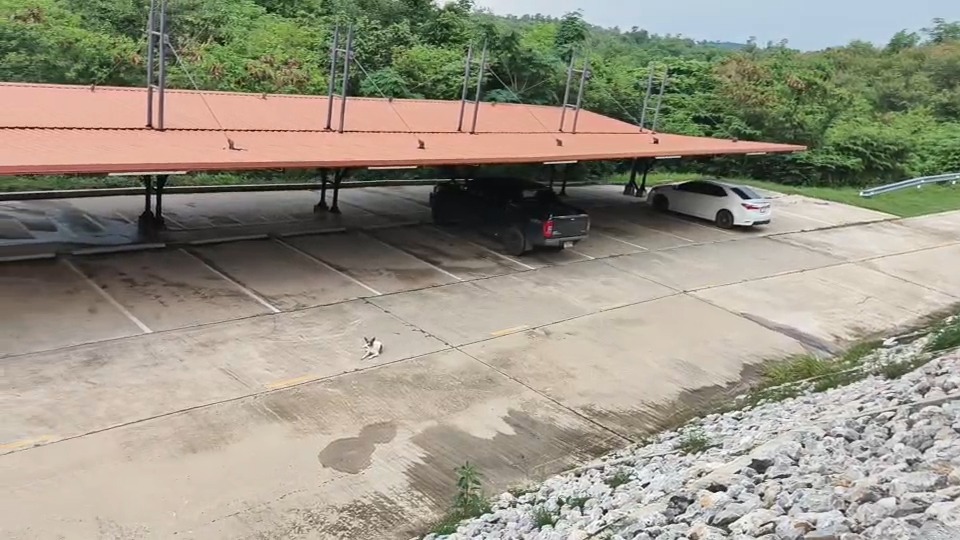 Parking Space Detection Object Detection Dataset And Pre Trained Model By Parking Space Detection