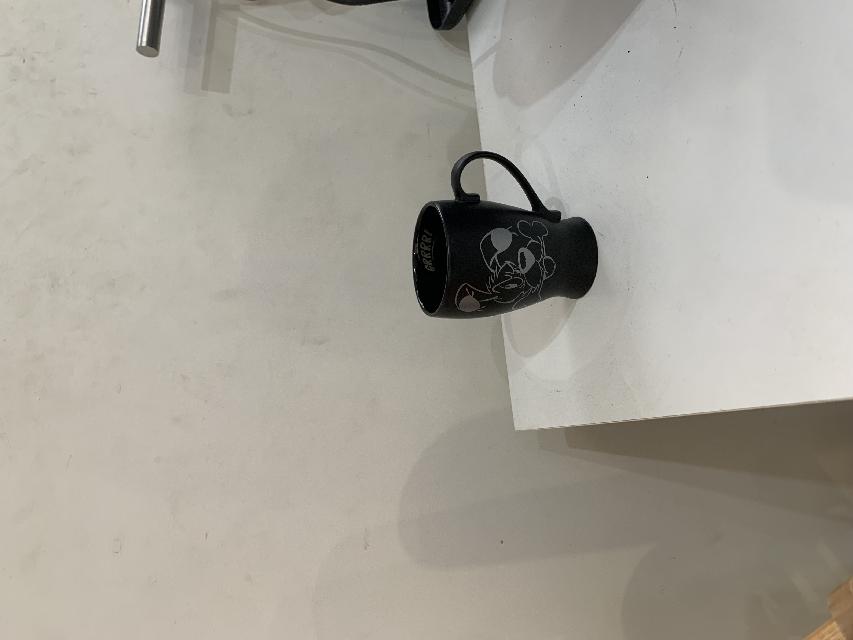 Idefix Object Detection Model by Iona