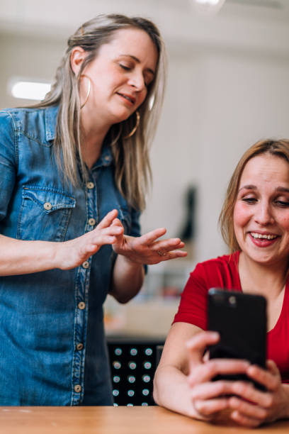 ICBMS Object Detection Dataset by Swetha