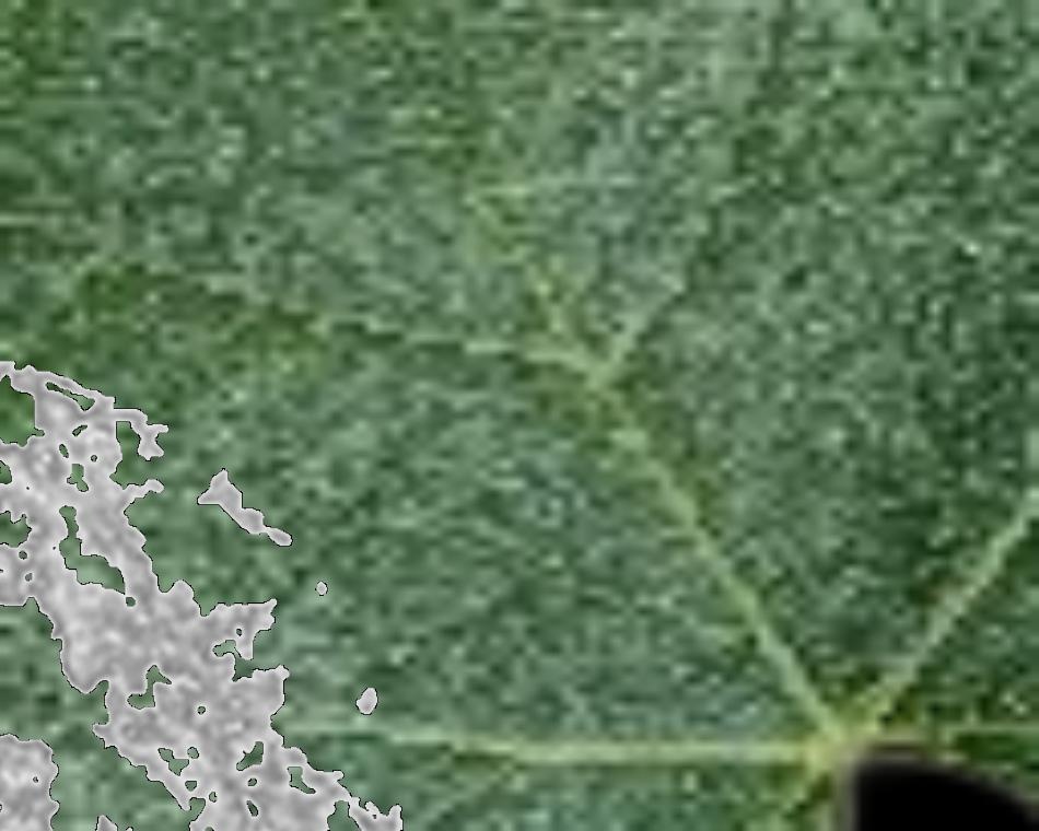 Dissertation Object Detection Dataset by Patrick