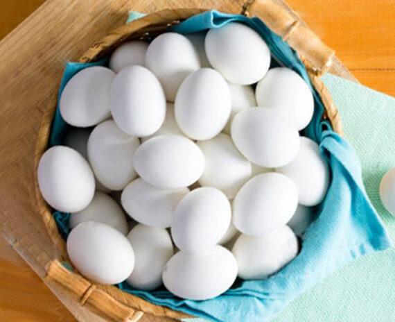 egg_test2 Object Detection Dataset by Rajat
