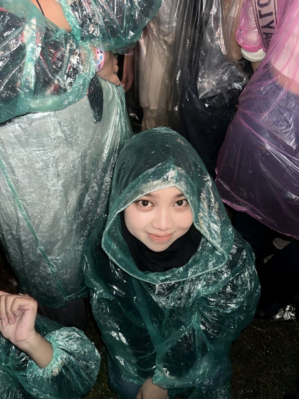 deteksi alfee Object Detection Dataset and Pre-Trained Model by deteksi ...