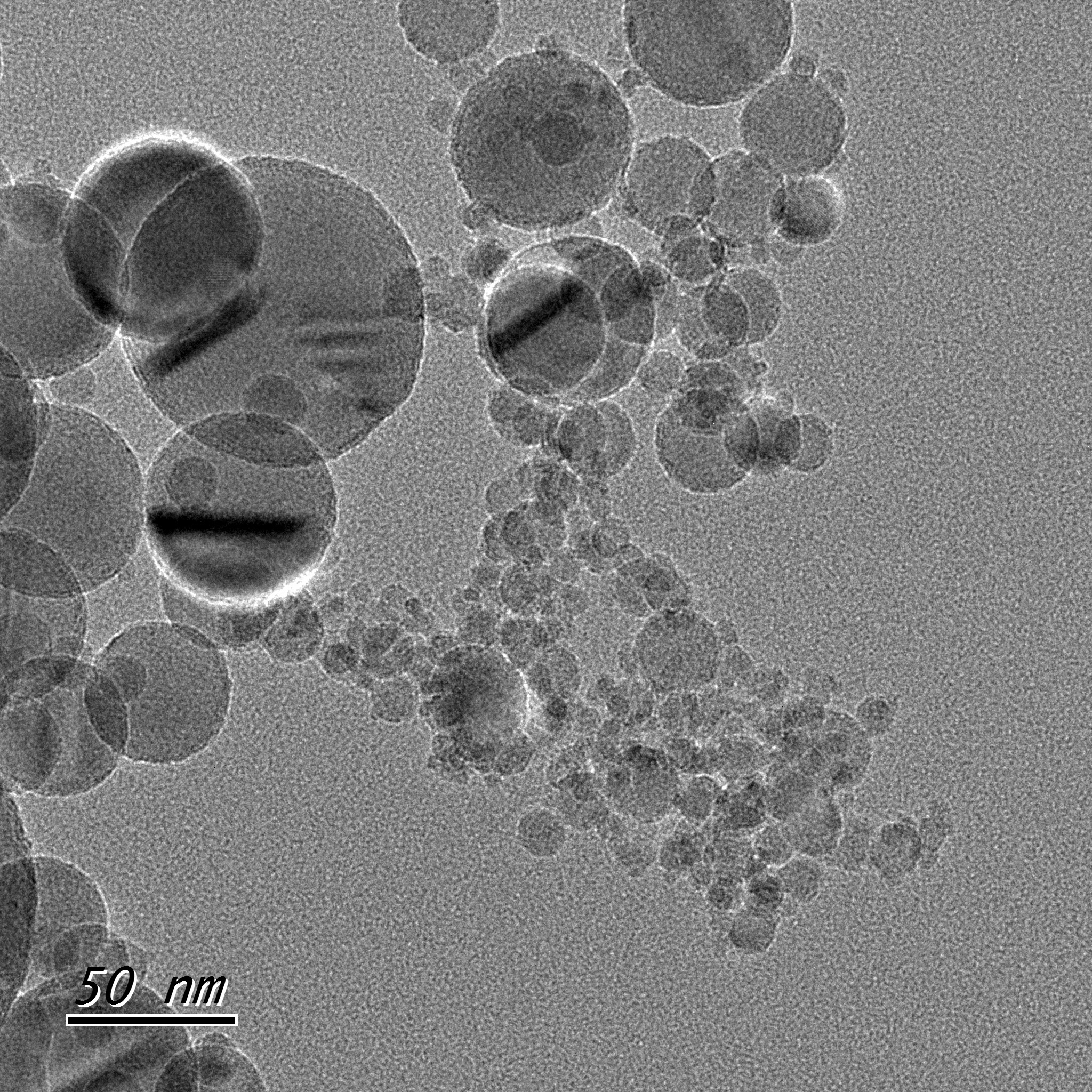 Silicon TEM Instance Segmentation Dataset by silicontem