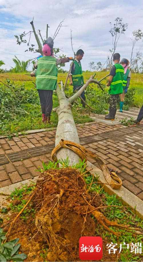 Fallen_Trees_BaiDu600 Object Detection Dataset by Object Detection