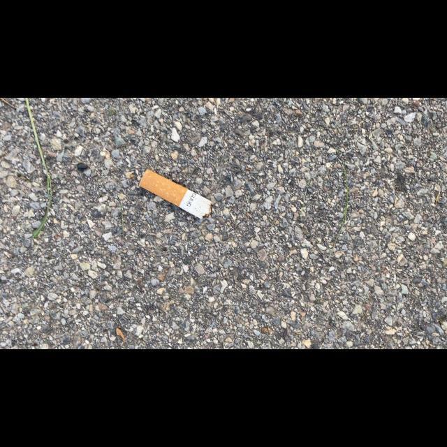 cigarette butts Object Detection Dataset by work3