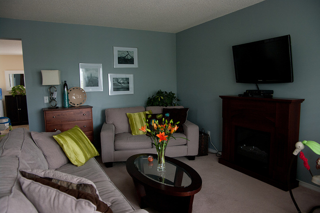 tv-coco-120 Instance Segmentation Dataset and Pre-Trained Model by instancesegmentation