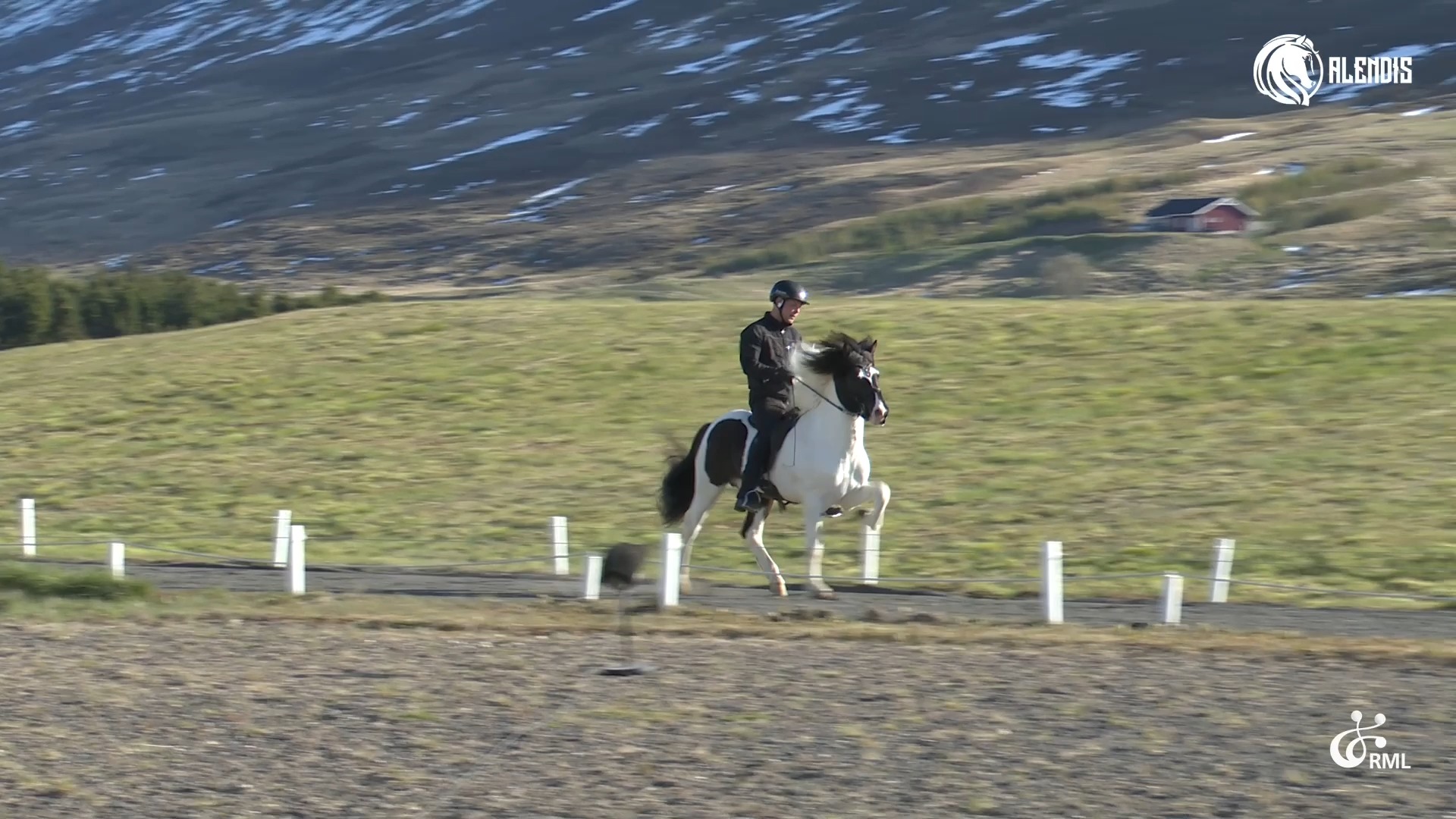 Alendis smart horse Keypoint Detection Dataset and Pre-Trained Model by Smart Horse