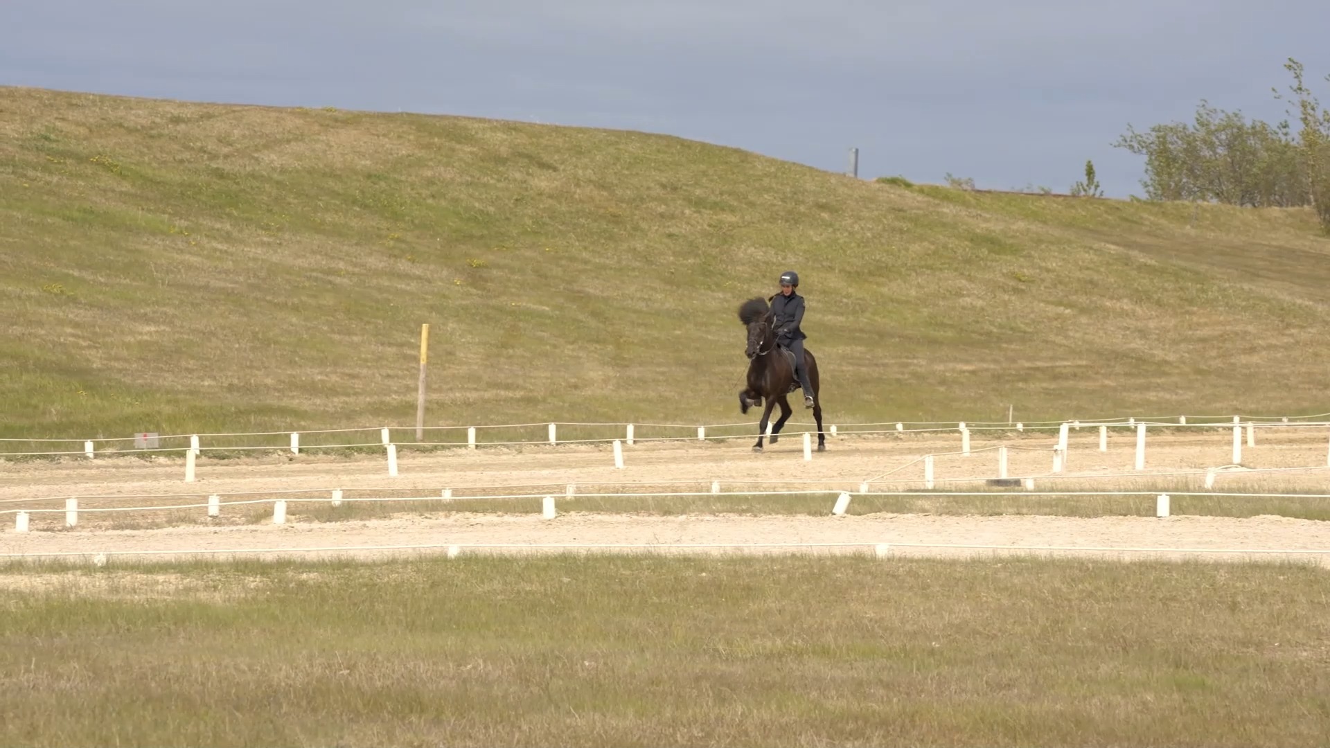 Smart Horse - Roboflow Universe