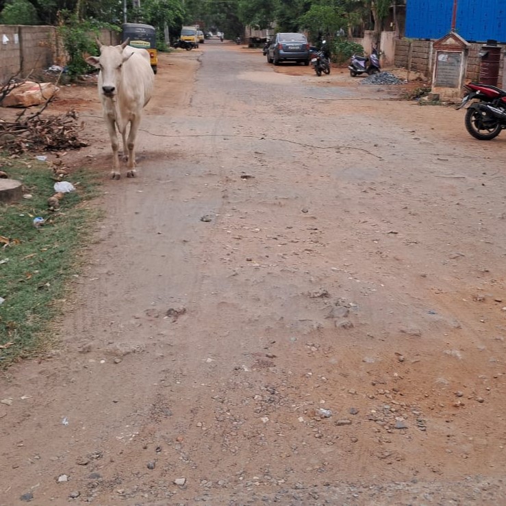 Data4 Object Detection Dataset (v1, 2024-07-10 7:27pm) by Demo