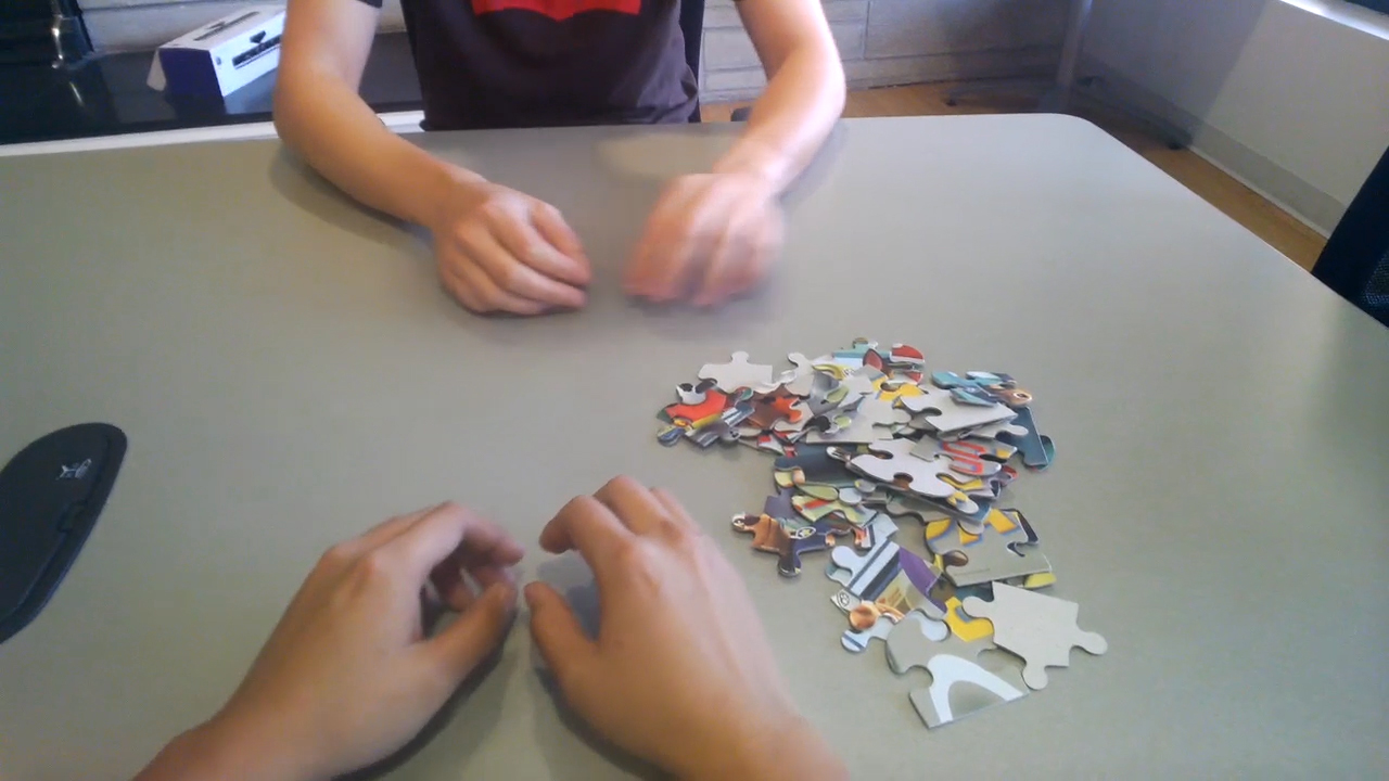 Hands Detection Object Detection Dataset By Finalproject