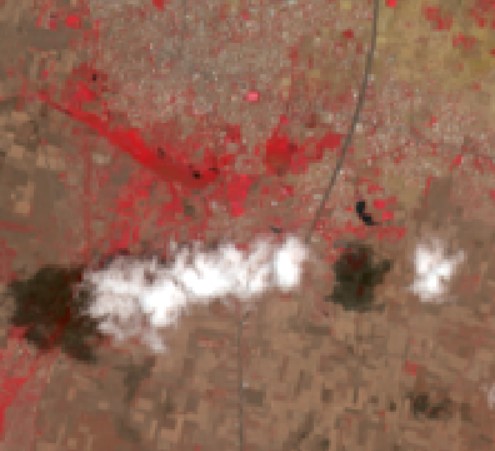 Cloud_Annotation Object Detection Model by Cloud Annotation