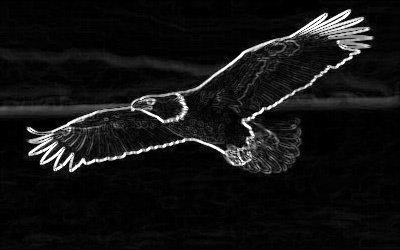 edge-drones-and-birds Object Detection Dataset and Pre-Trained Model by knu