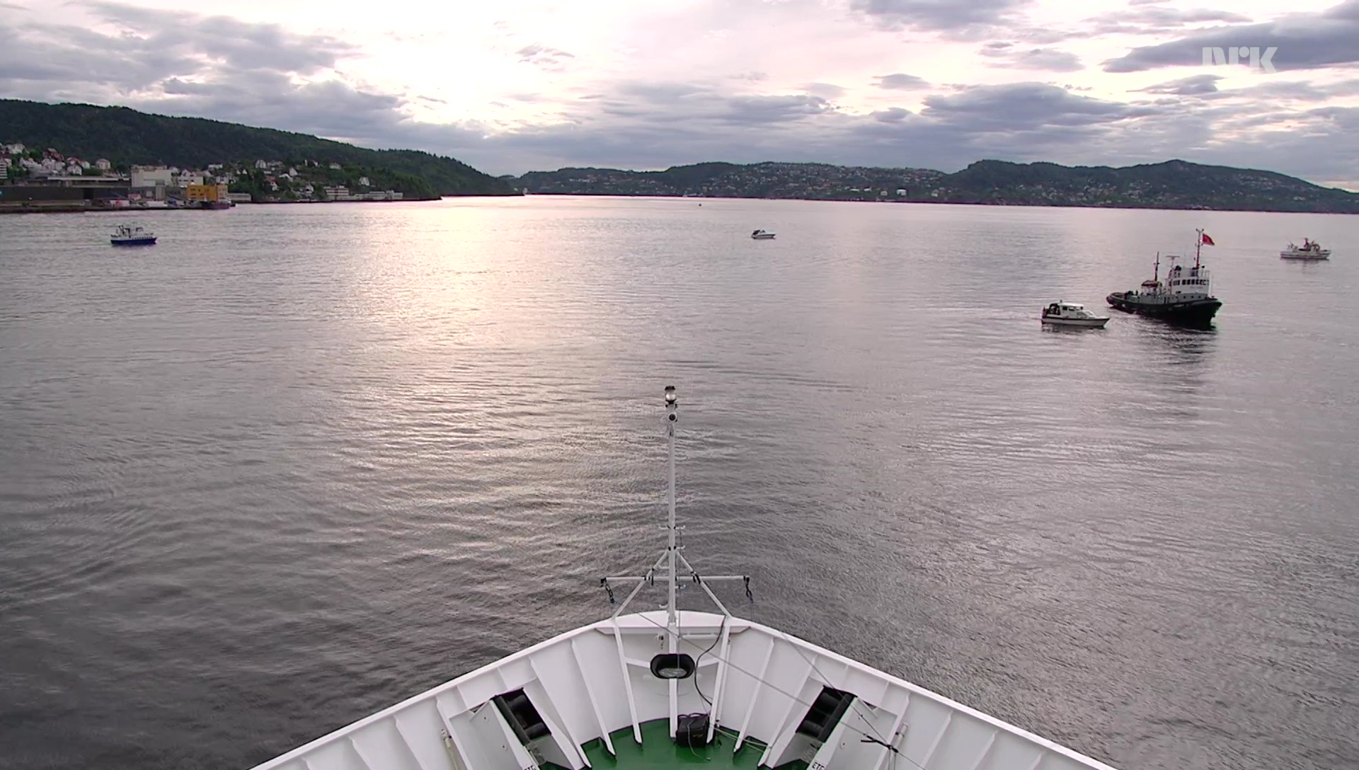 Detect And Classify Single-label Classification Classification Dataset by DNV v3