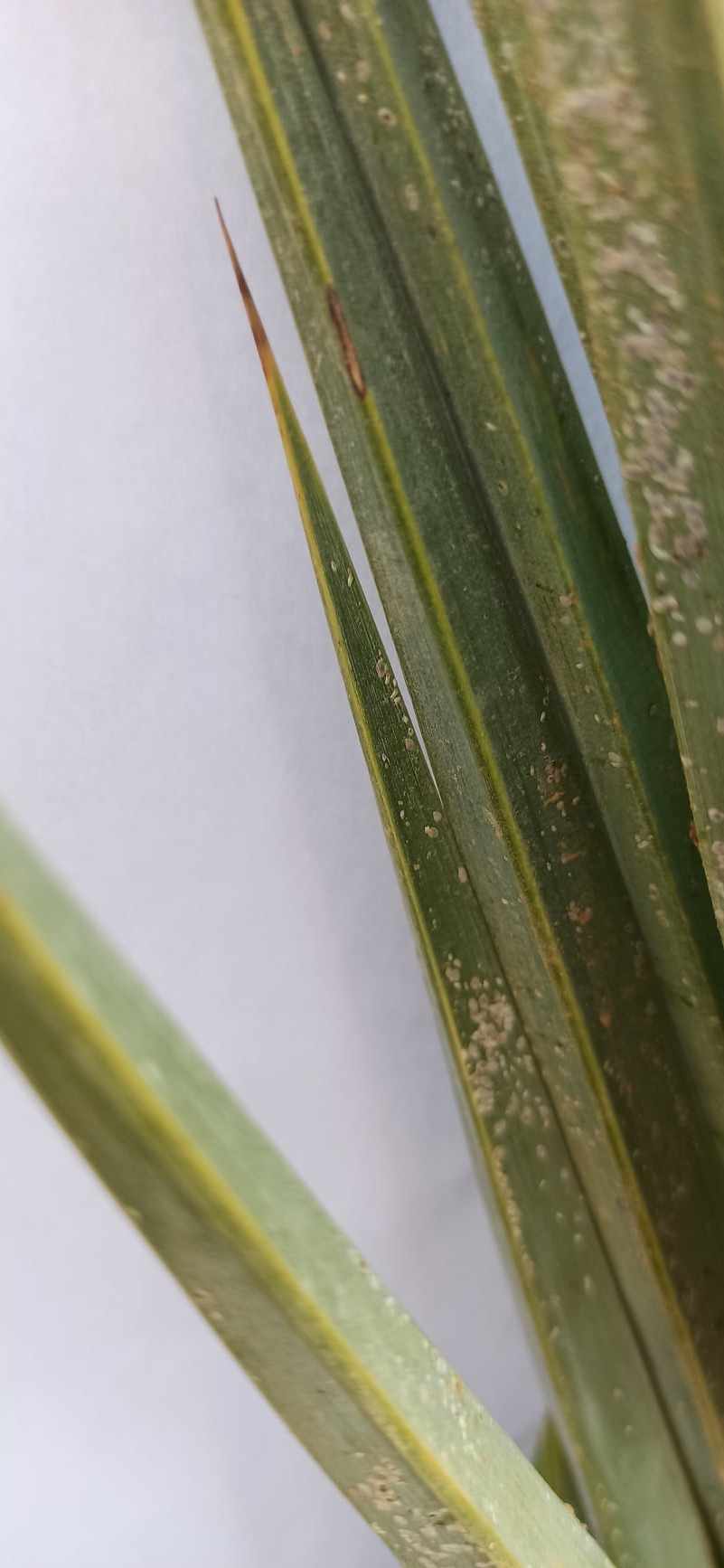 project-classification Classification Model by ProjetPFE