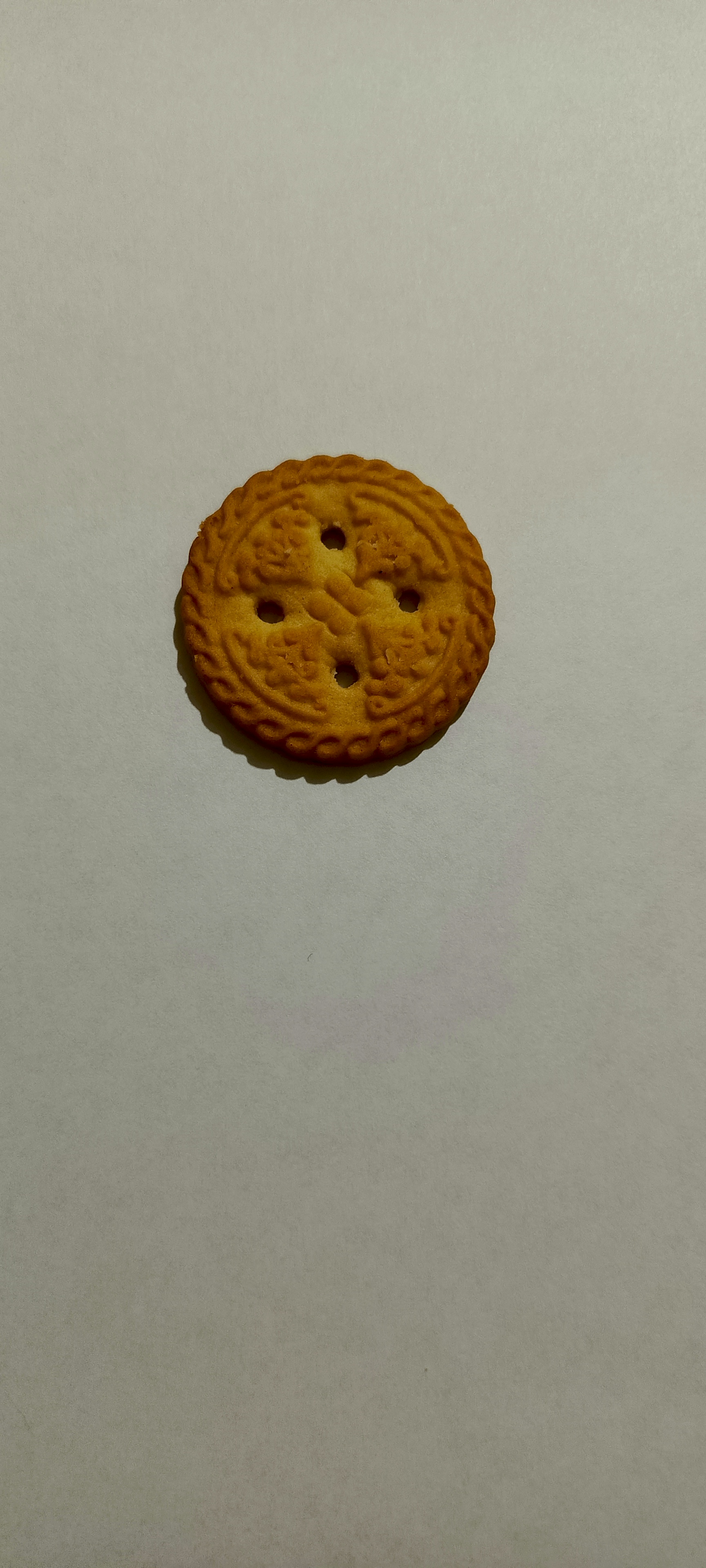 Cookies segmen Instance Segmentation Model by PERCEPCION ROBOTICA