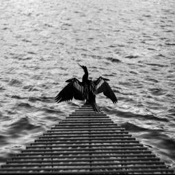 check_label_v1 Object Detection Dataset by soft