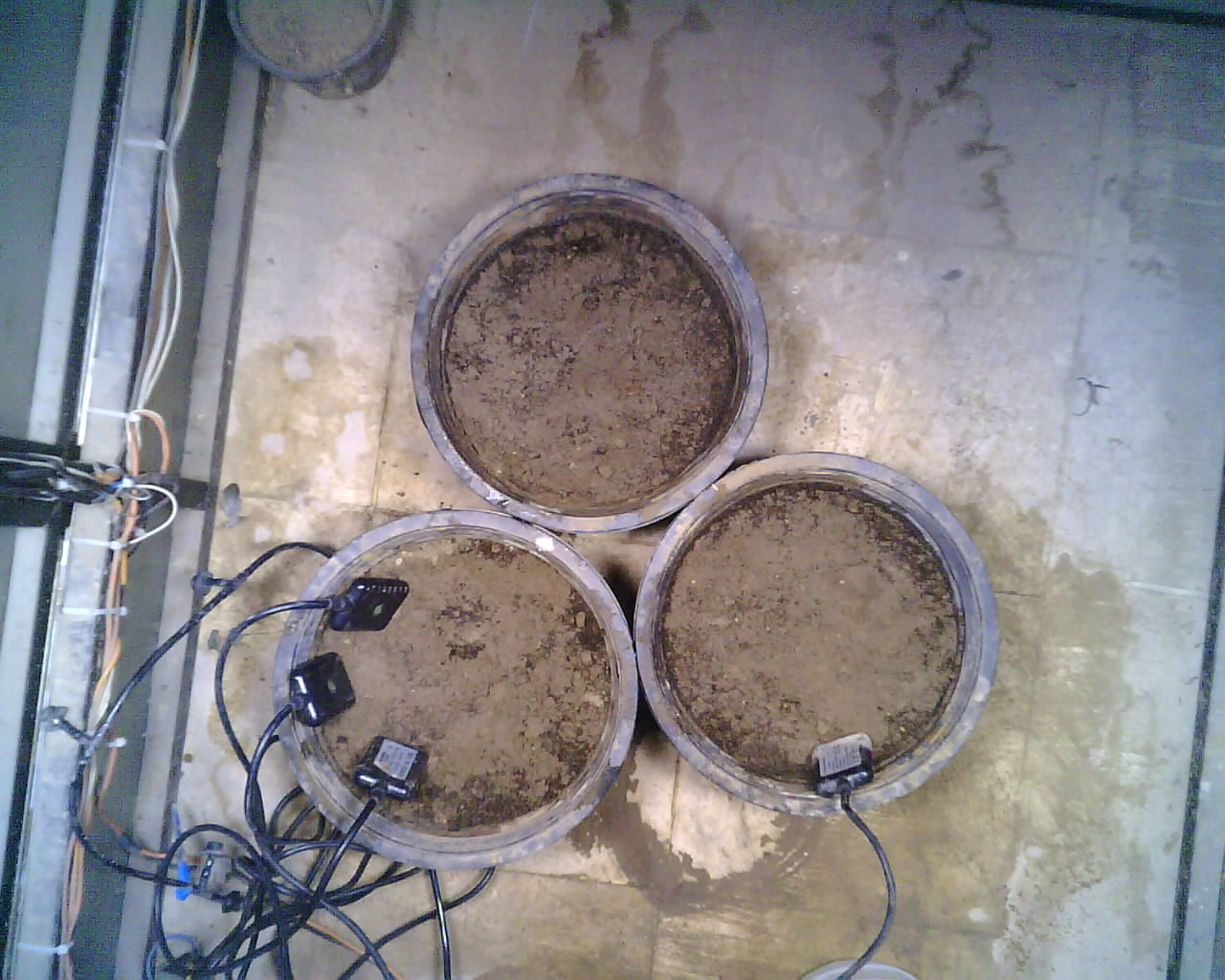 Red Radish Dataset Roboflow Universe