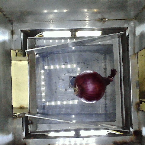 Onion backup file Instance Segmentation Dataset by Onion