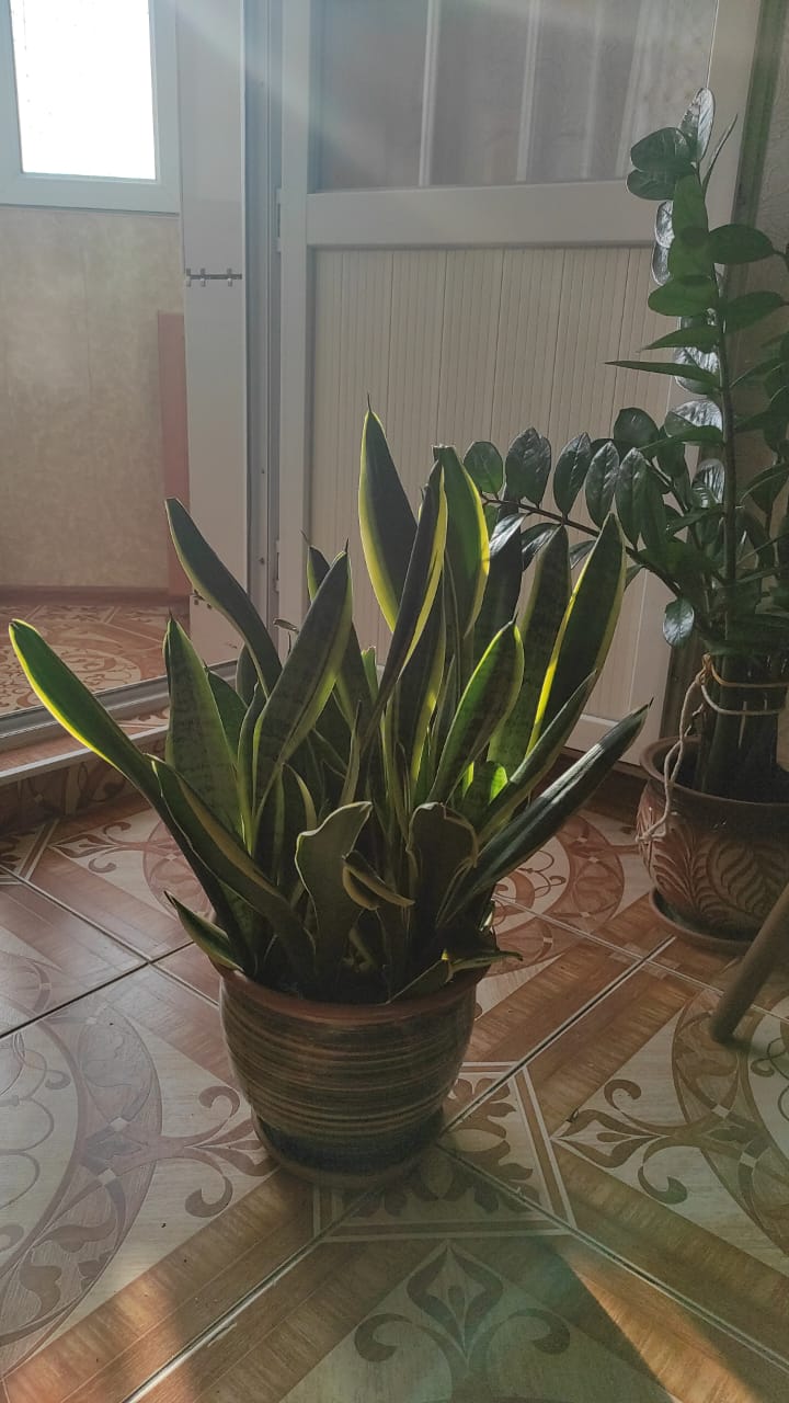 MyDataset Object Detection Dataset by Hof university of applied science