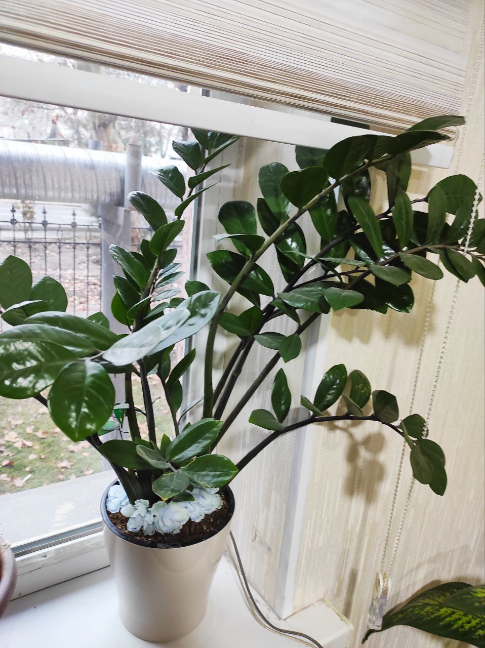 PlantsDetector Object Detection Dataset and Pre-Trained Model by Hof university of applied science