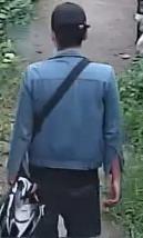 Violation Detection Classification Dataset by Borq