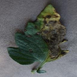 Krishi Ai tool - Roboflow Universe