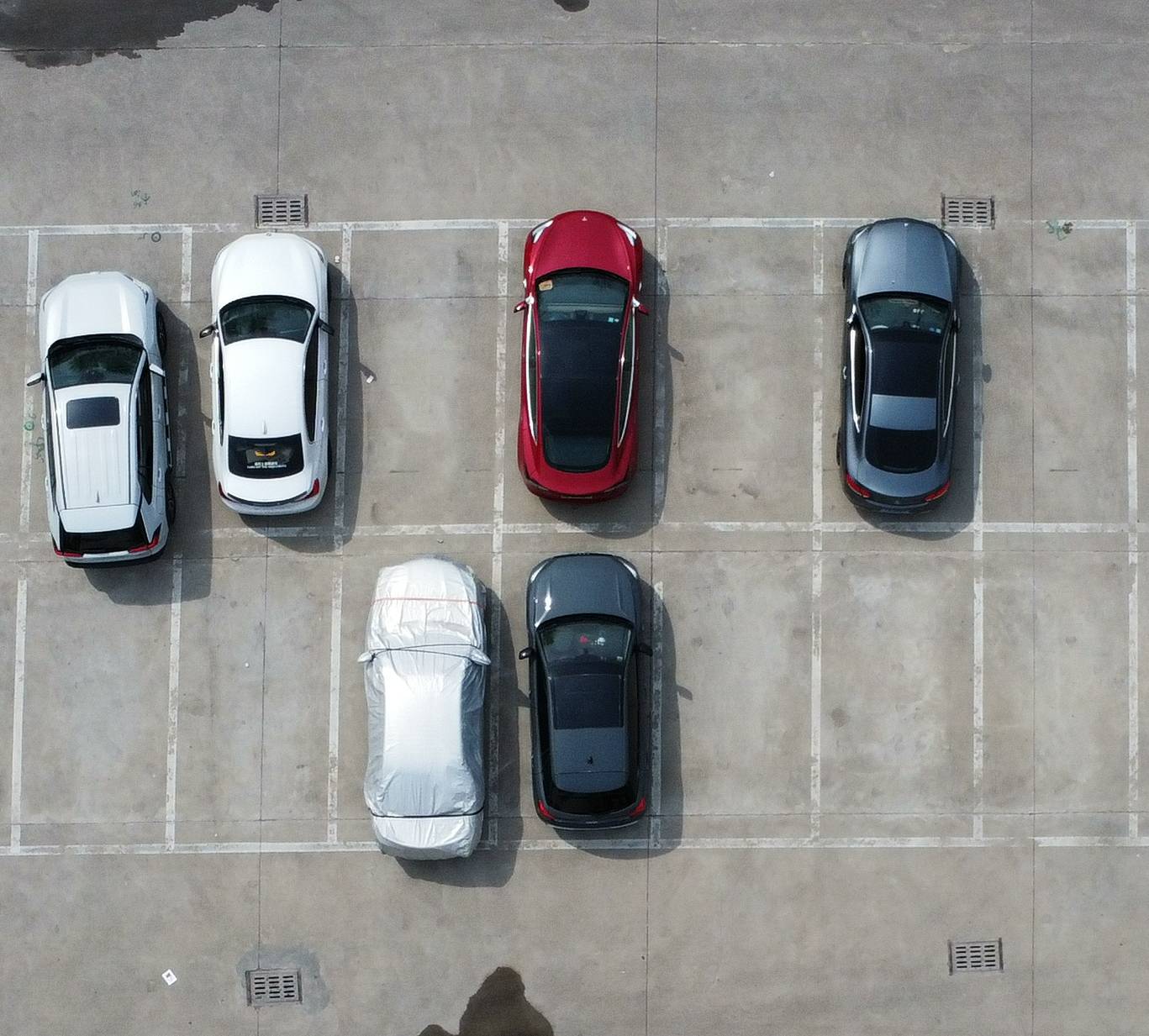 Detected_in_parking_Yolov5 Object Detection Dataset and Pre-Trained ...