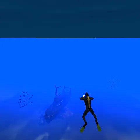 diver 480 Object Detection Dataset and Pre-Trained Model by Kutsal