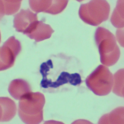 My ML project - Roboflow Universe