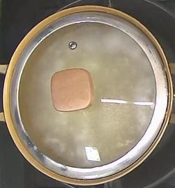 pot Instance Segmentation Dataset by 11