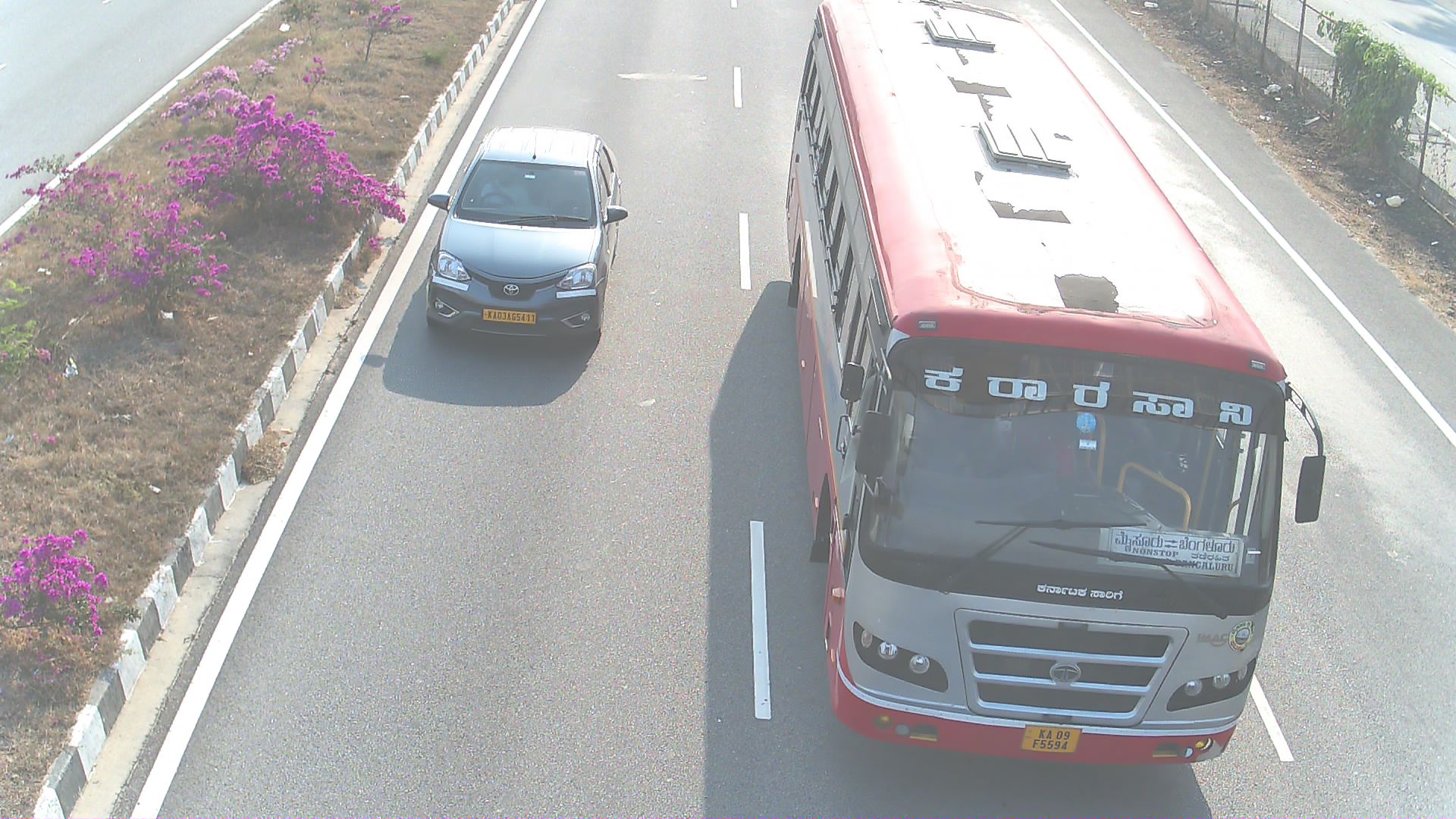 seatbelt Object Detection Dataset by seg