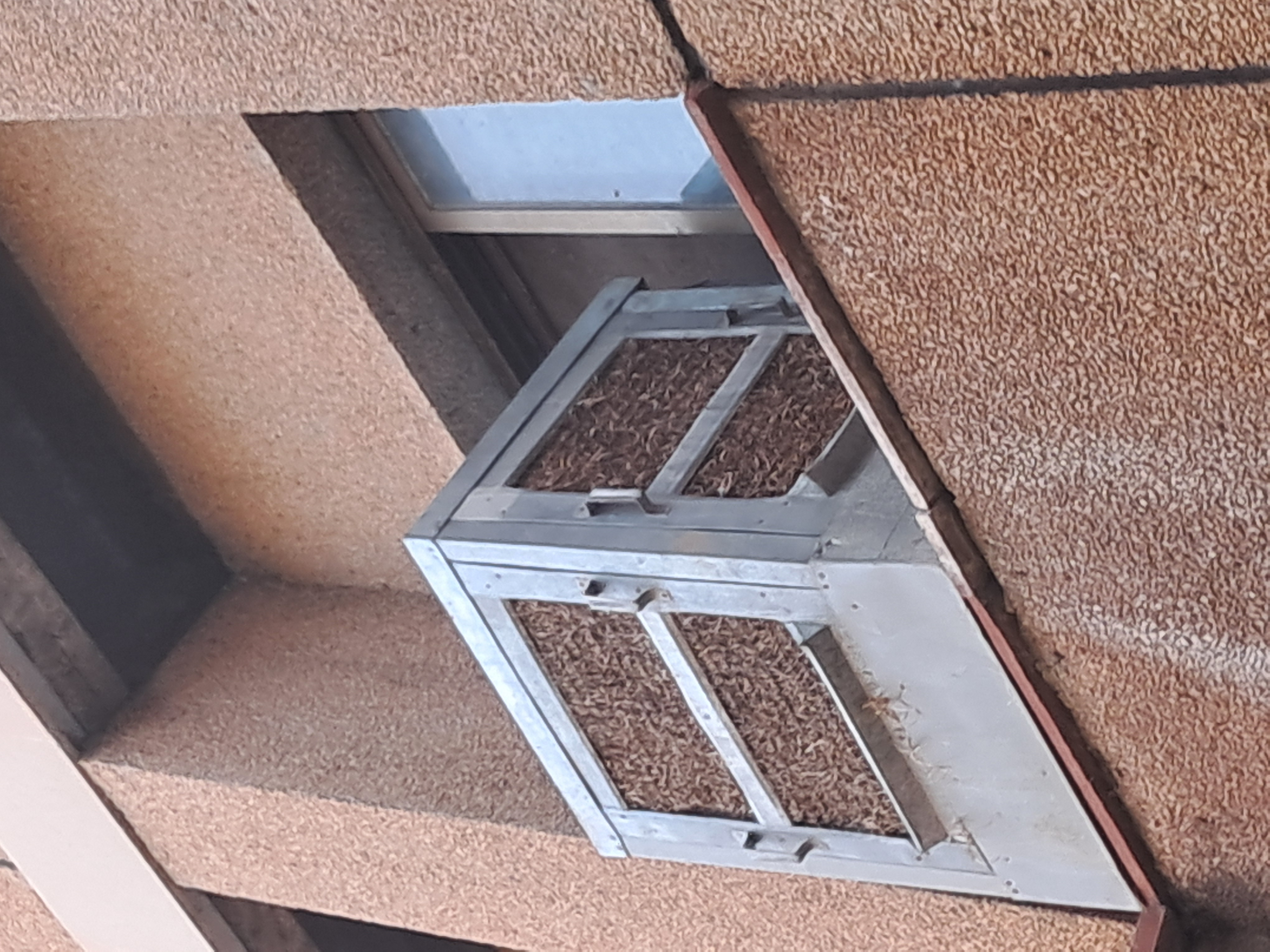 Peta (peta-blrpx) - Roboflow Universe