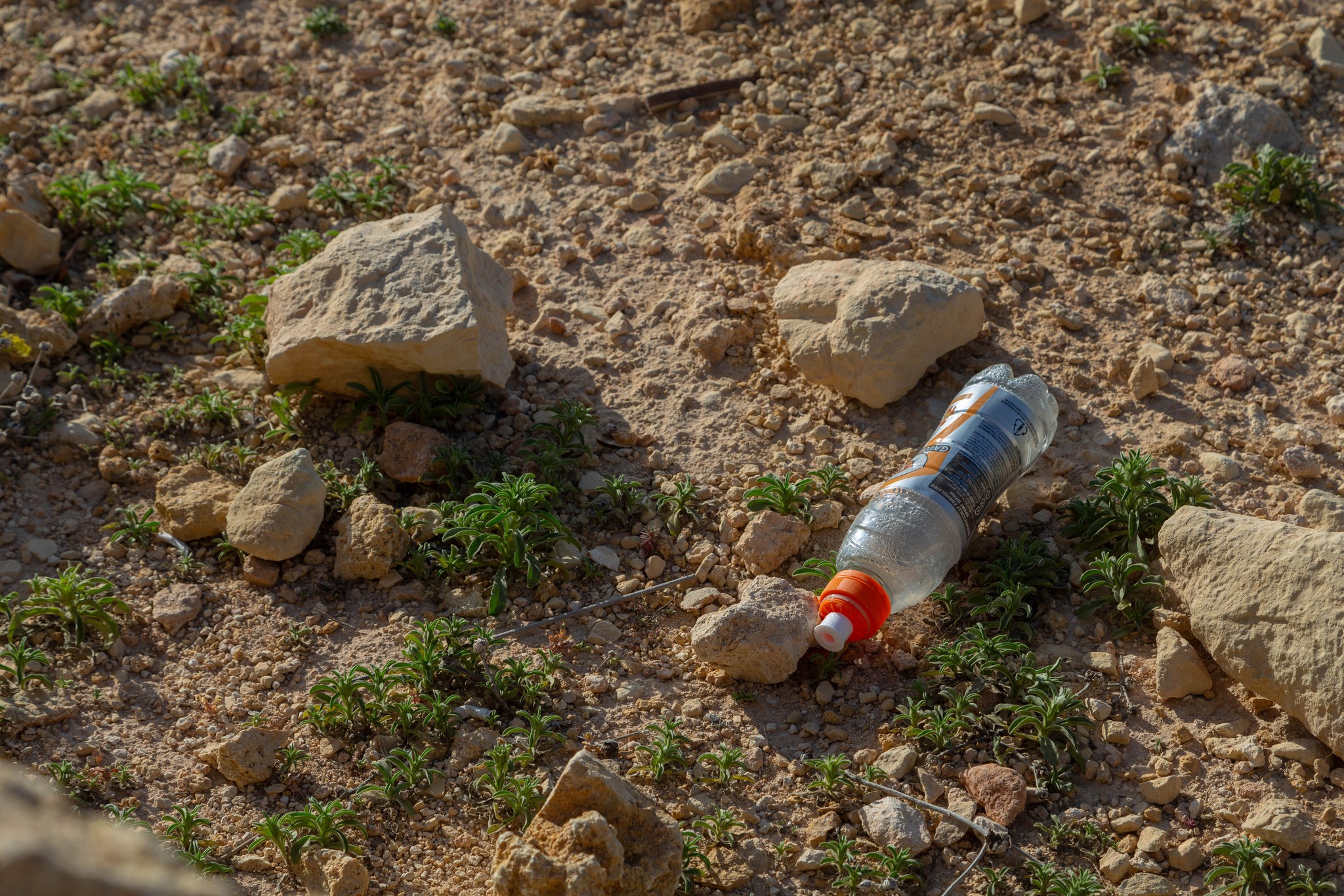 Garbage Detection using AI Object Detection Model by Nadur Nadif ...