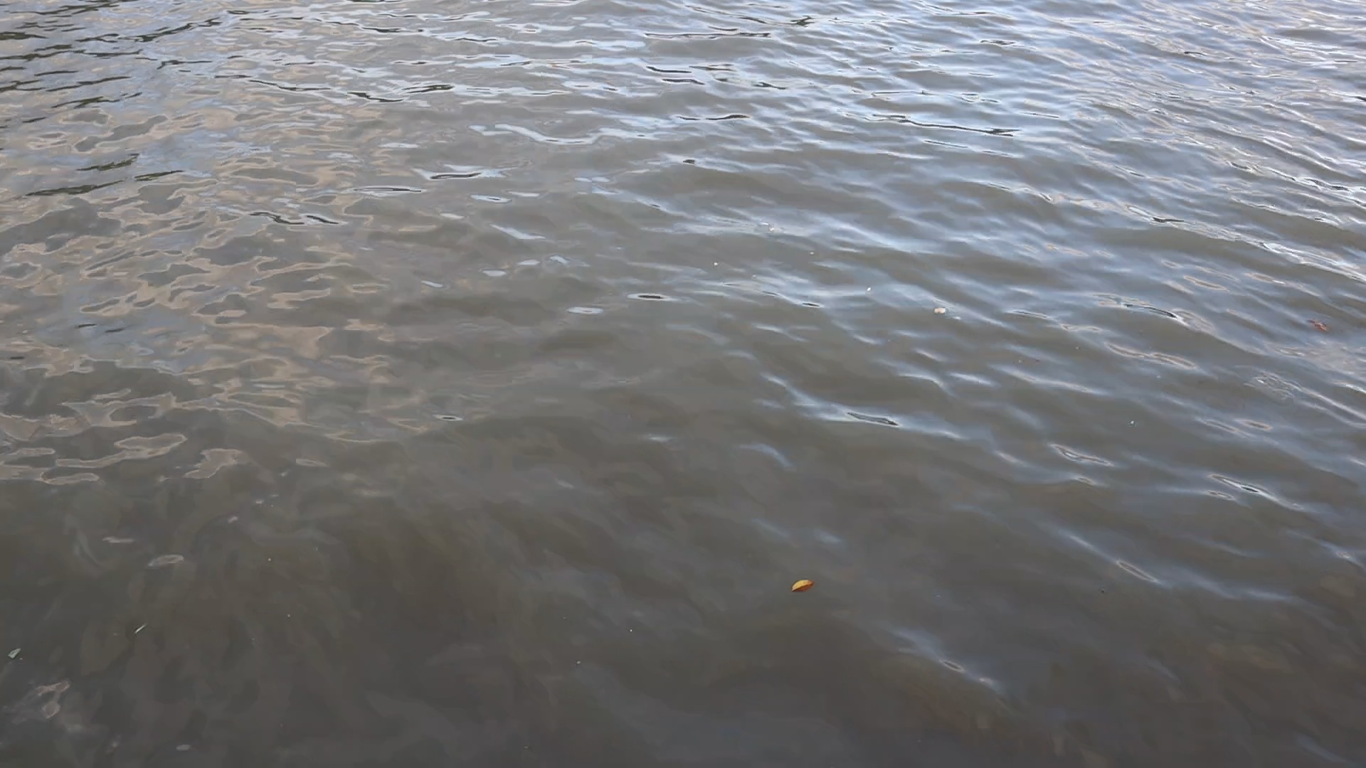 floating object detection final 2 Object Detection Dataset by coolspyder