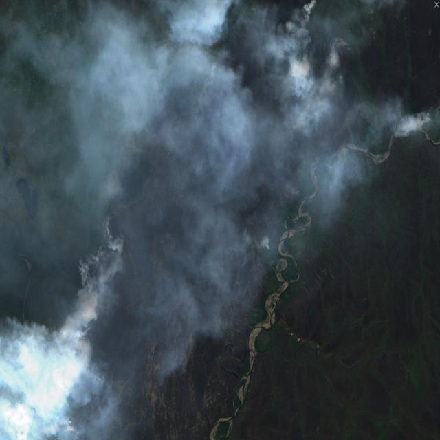 Forestfire Detection Object Detection Dataset And Pre Trained Model By