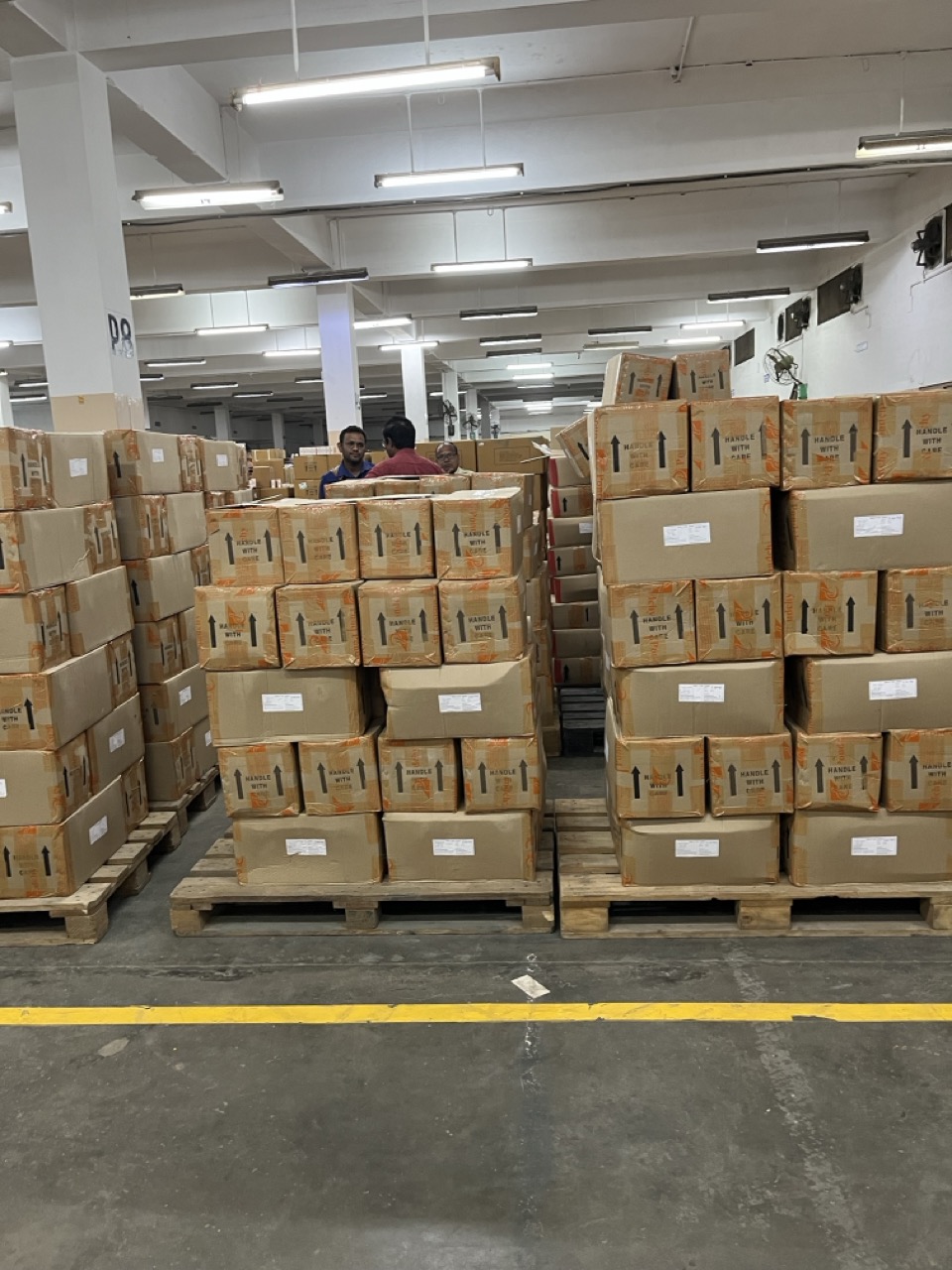 label Object Detection Dataset and Pre-Trained Model by clofus