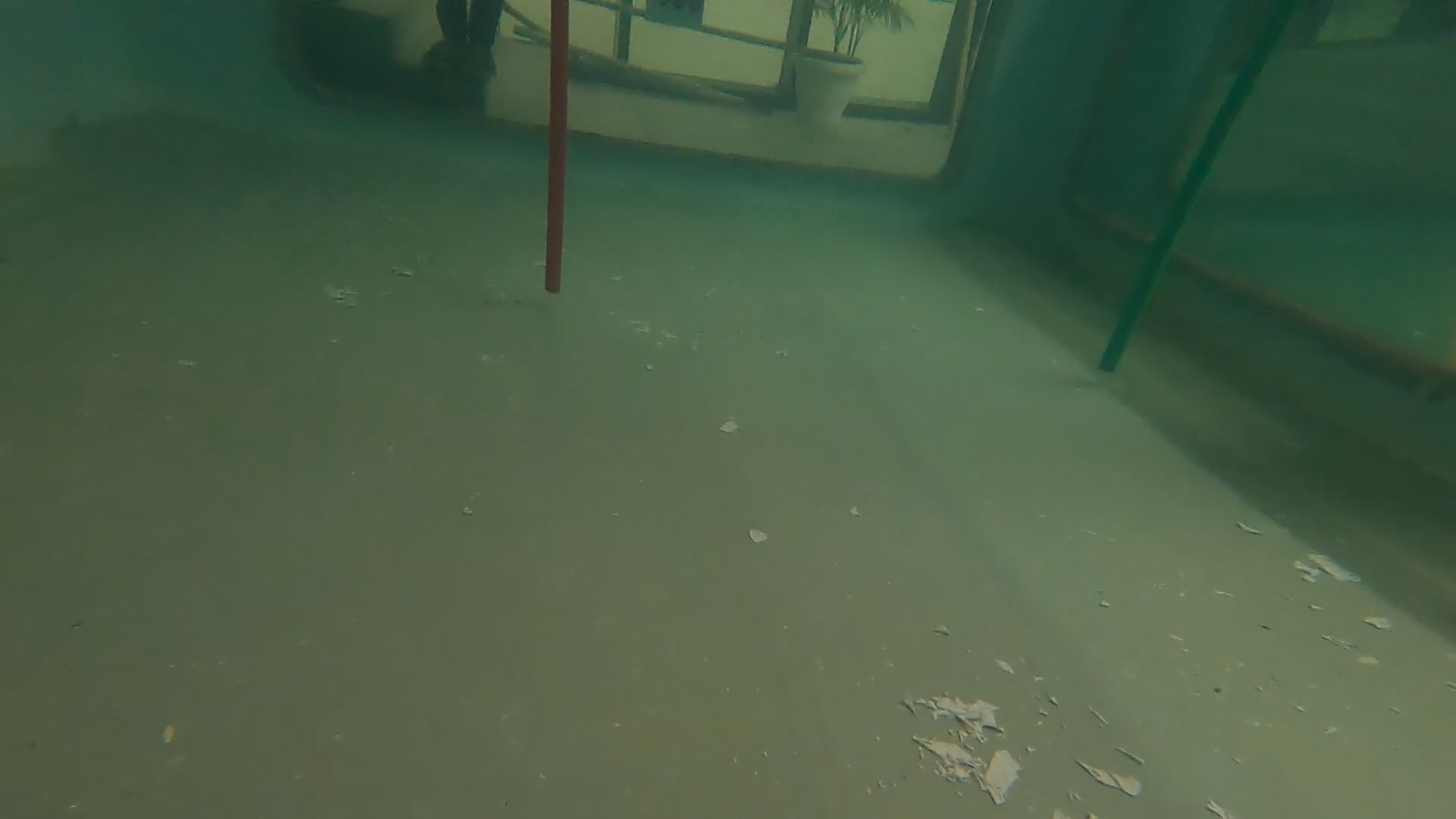 new-gate Object Detection Dataset by eyrc